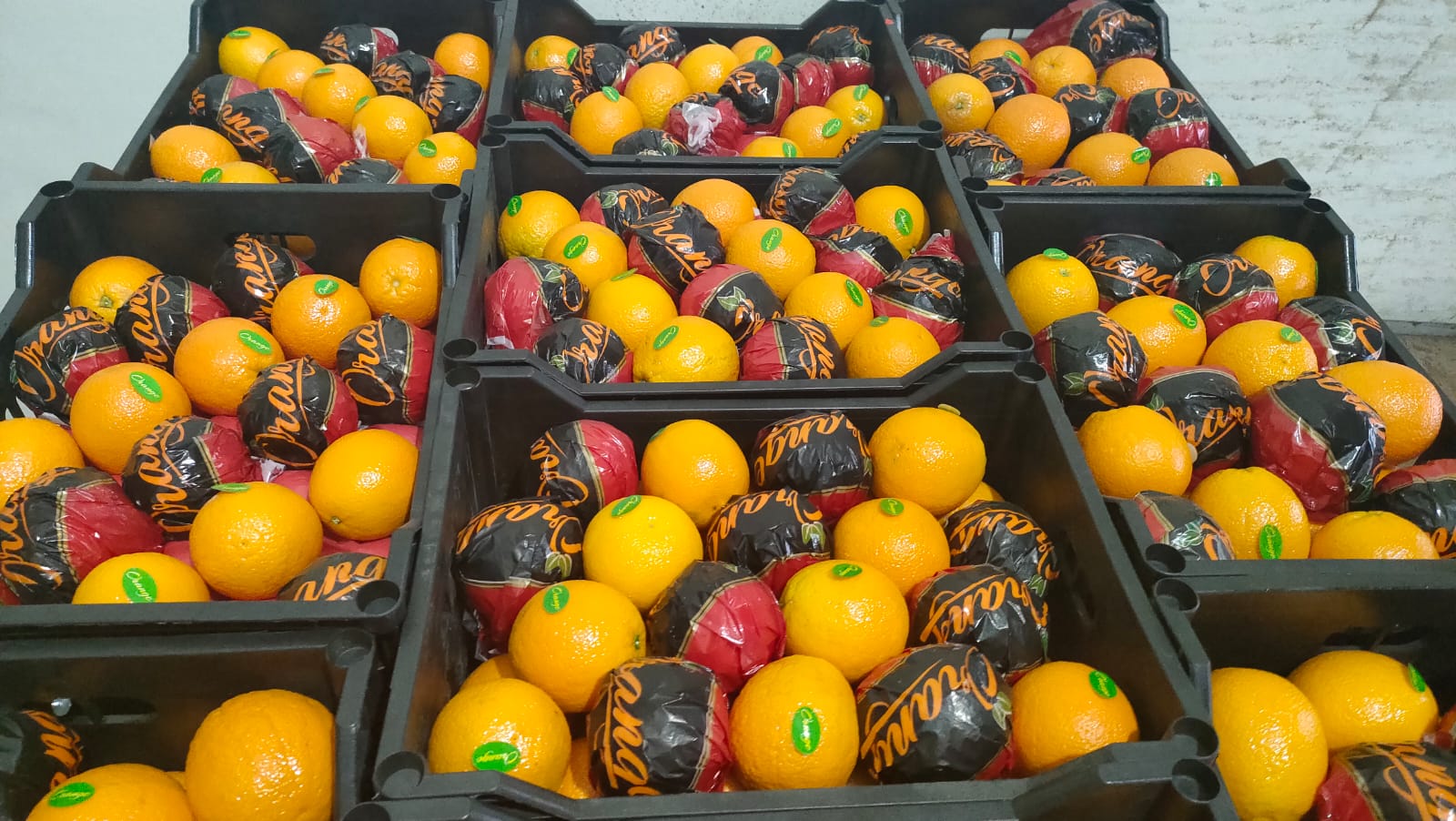 About us – Cairo Food